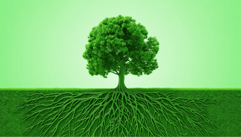 What are misleading data visualizations and how do you avoid them?